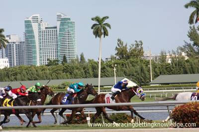 Horse Racing Track Surfaces Dirt,Turf, Polytrack measured Furlong