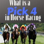 Horse Racing Betting Knowledge - Answers to All Your Horse Racing ...
